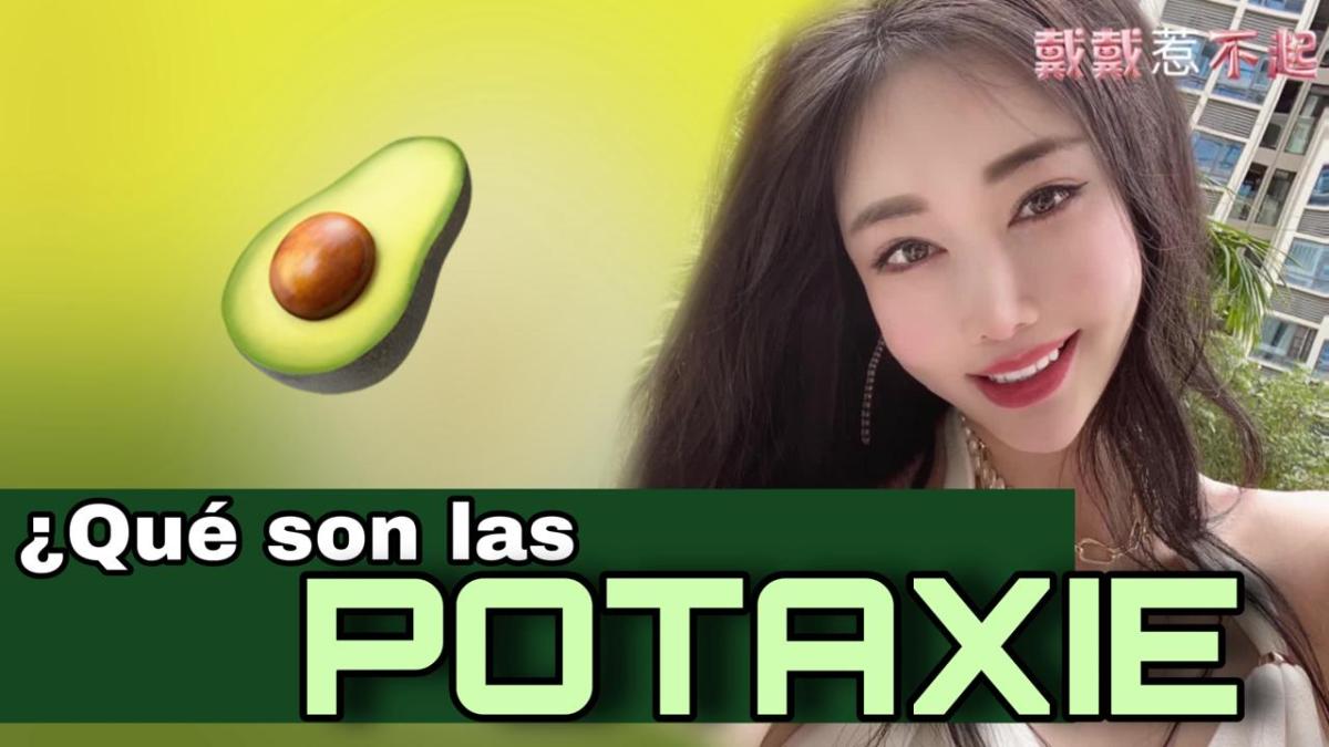 POTAXIE la ciber cultura nacida en TIKTOK: Lo mas Viral