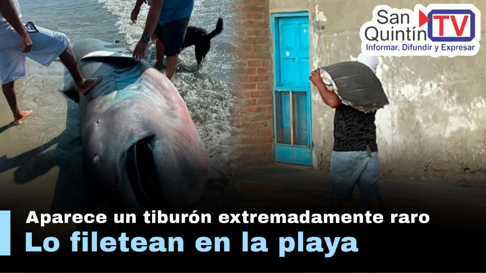 Tiburón megaboca aparece en Perú y lo filetean en plena playa – www ...